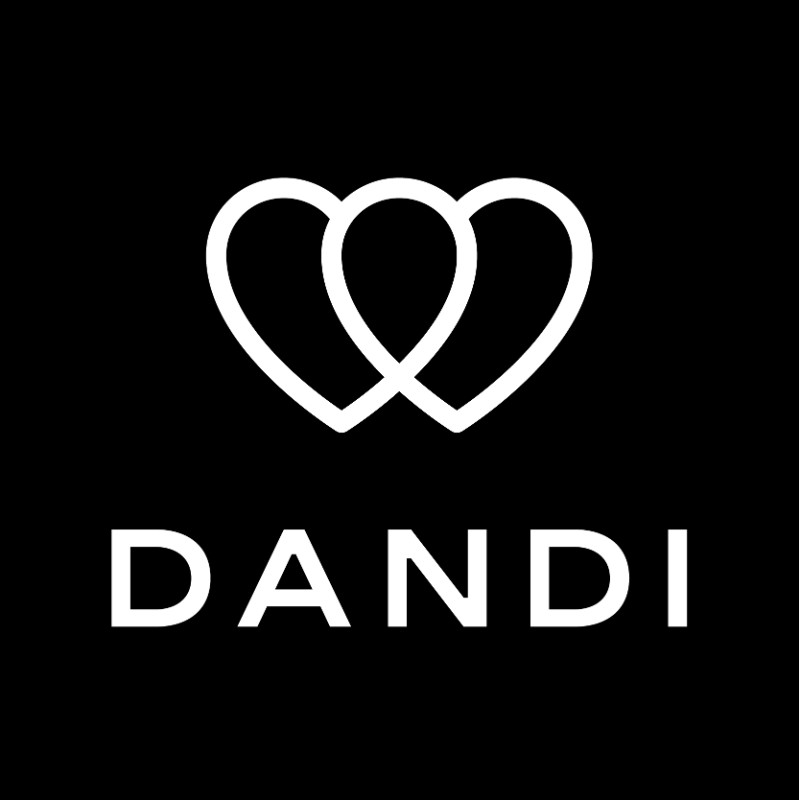 Dandi Living repair reporting